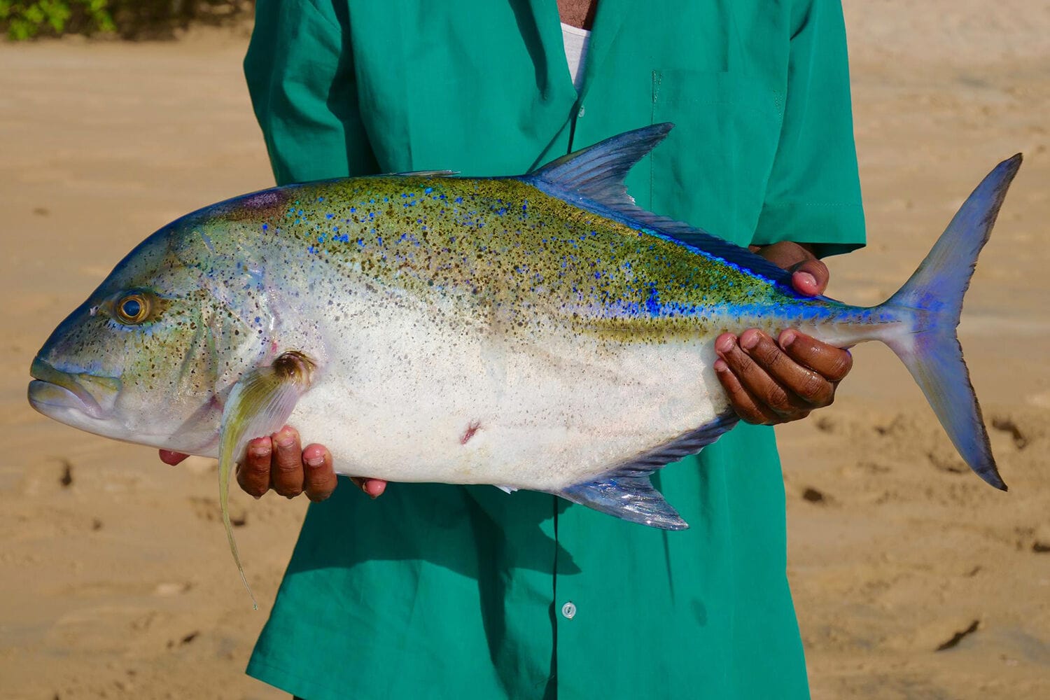 Manda Bay | The East African Traveller